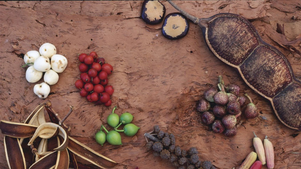 Aboriginal Culture Food